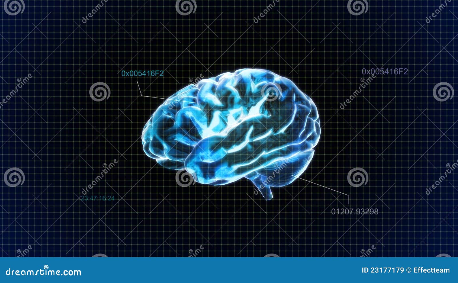 Blue crystal brain code stock image. Image of diagram - 23177179