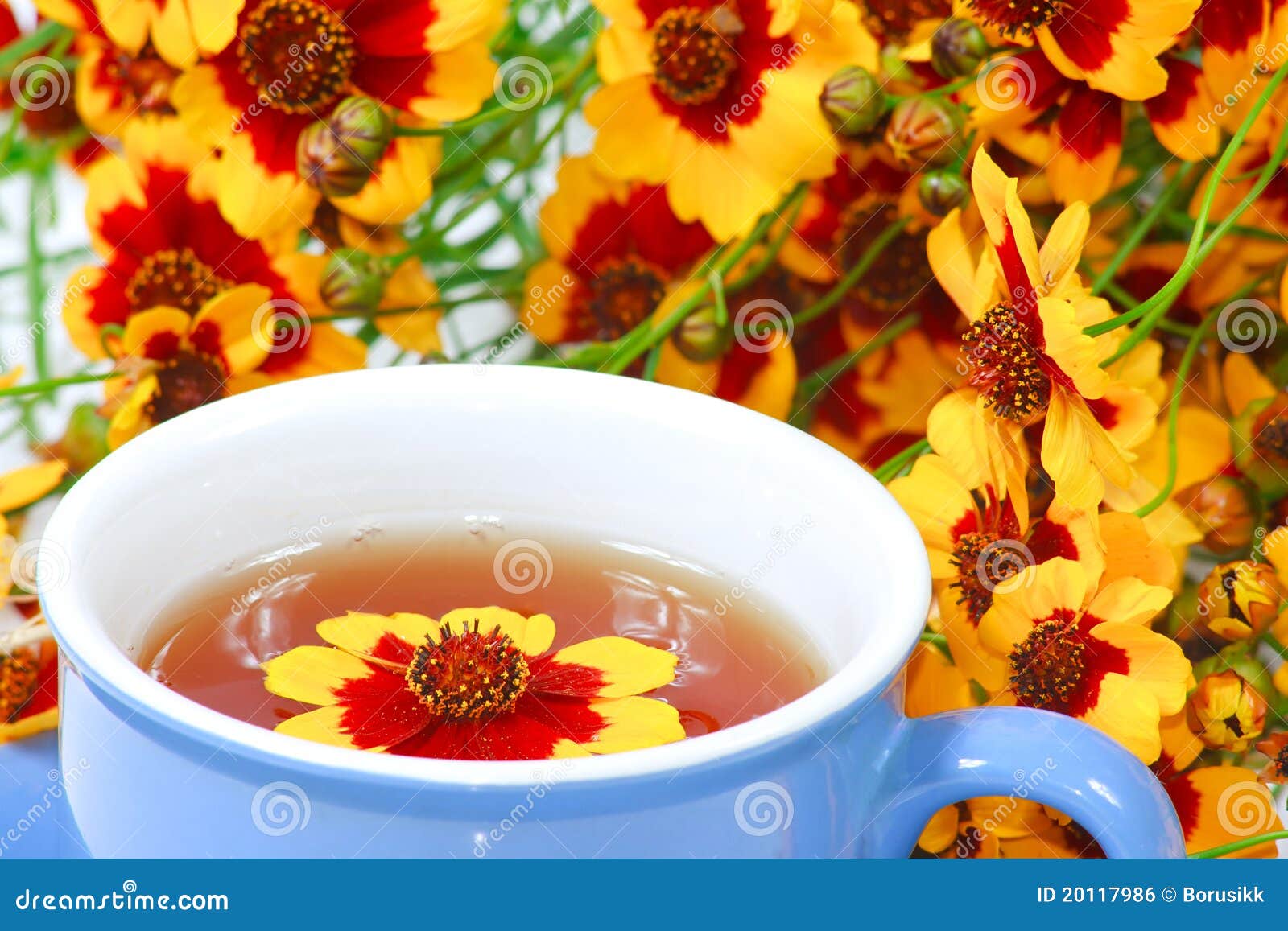 The Blue Cup of Tea with Flowers Stock Photo - Image of fragrant ...