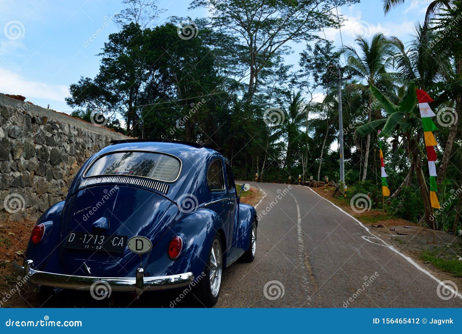 Bw Beetle Stock Photos - Free & Royalty-Free Stock Photos from Dreamstime