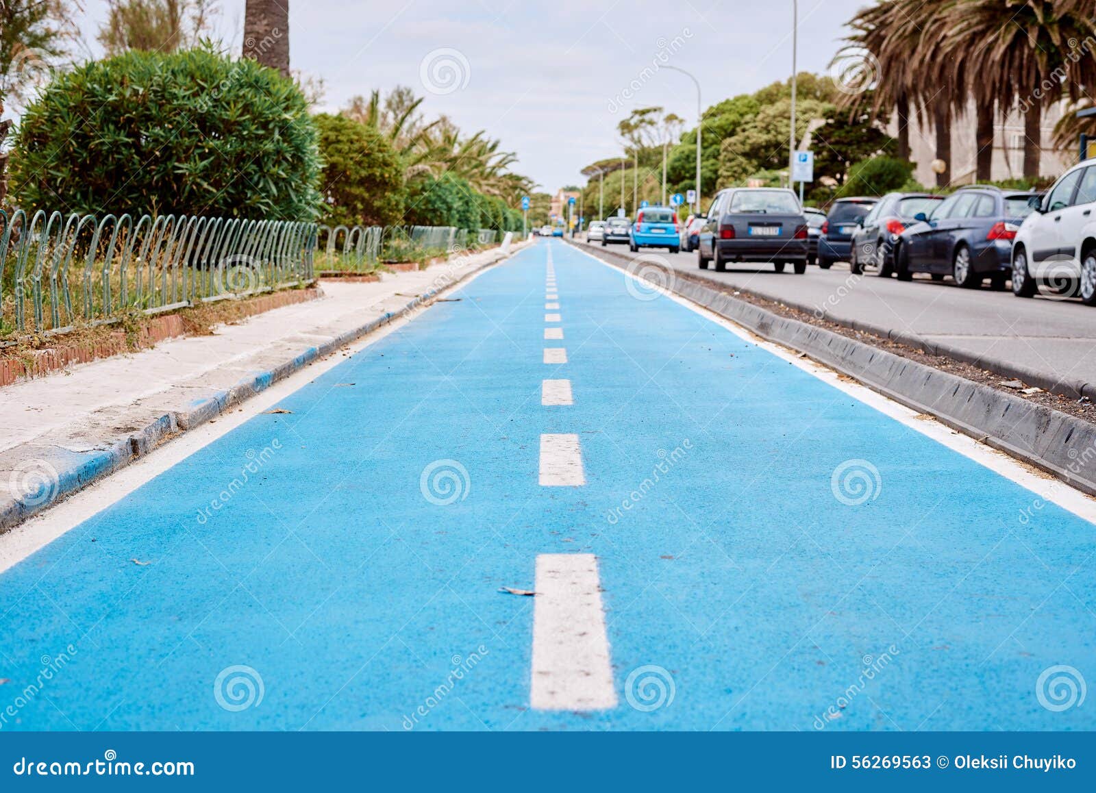 Blue Cycle Path Along the Coast Stock Image - Image of lane, bike: 56269563