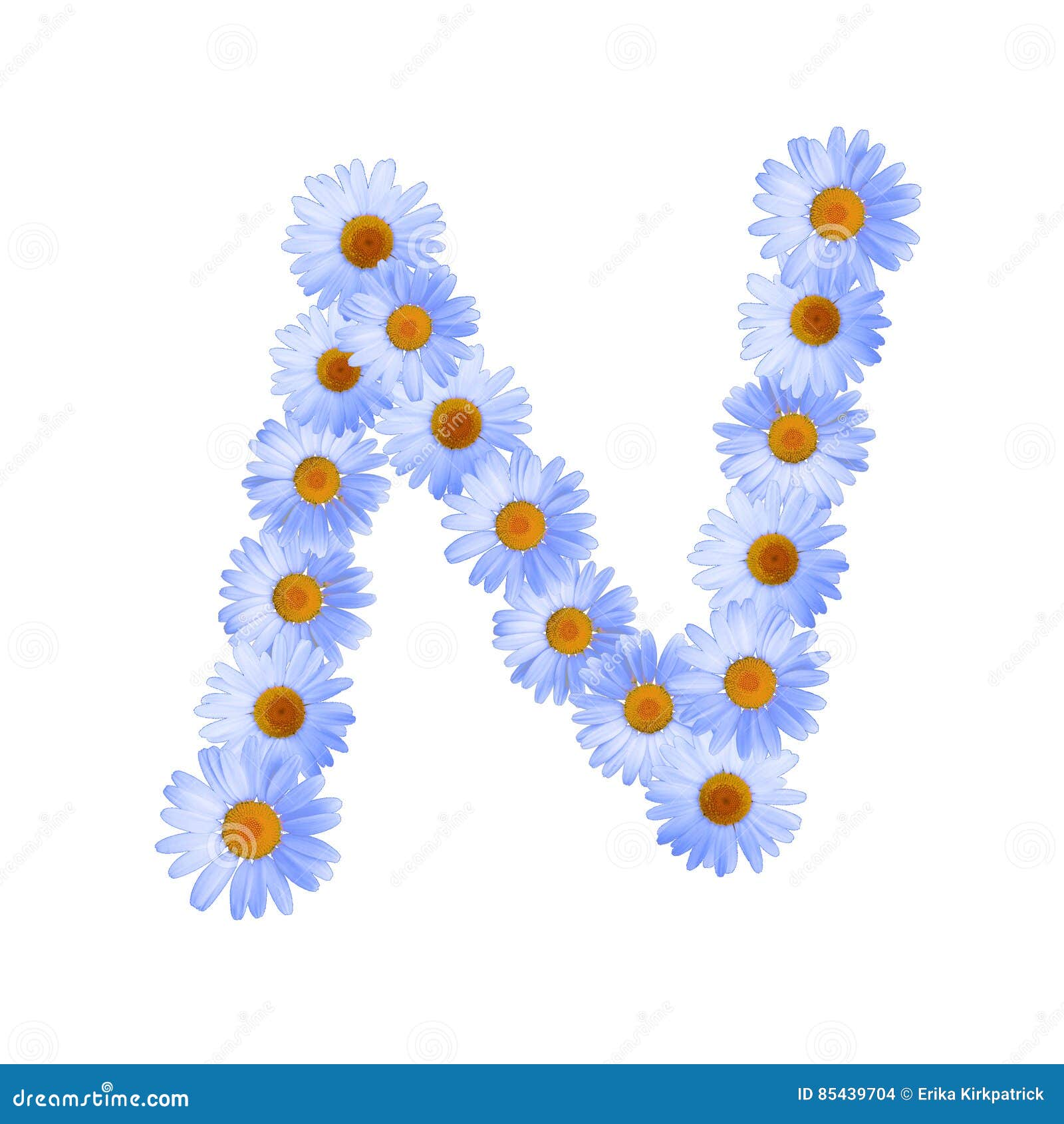 Blue Daisy Letter N stock illustration. Illustration of custom - 85439704