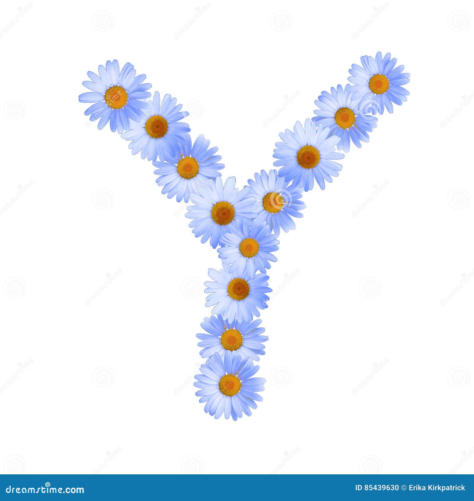 Blue Daisy Letter Y stock illustration. Illustration of leaf - 85439630