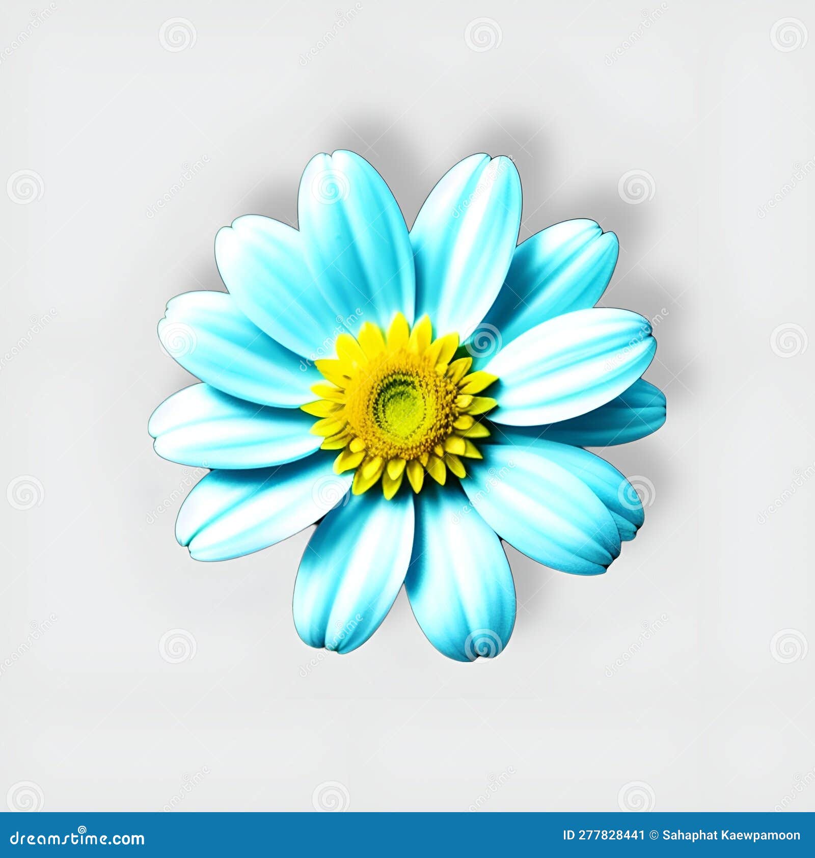 Blue Daisy on White Background. 3D Illustration. Floral Design Stock ...