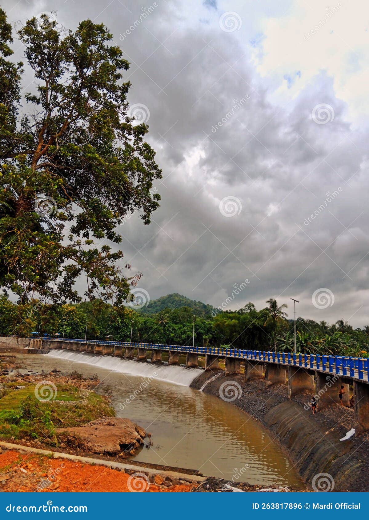 Blue dam and mango trees stock photo. Image of river - 263817896