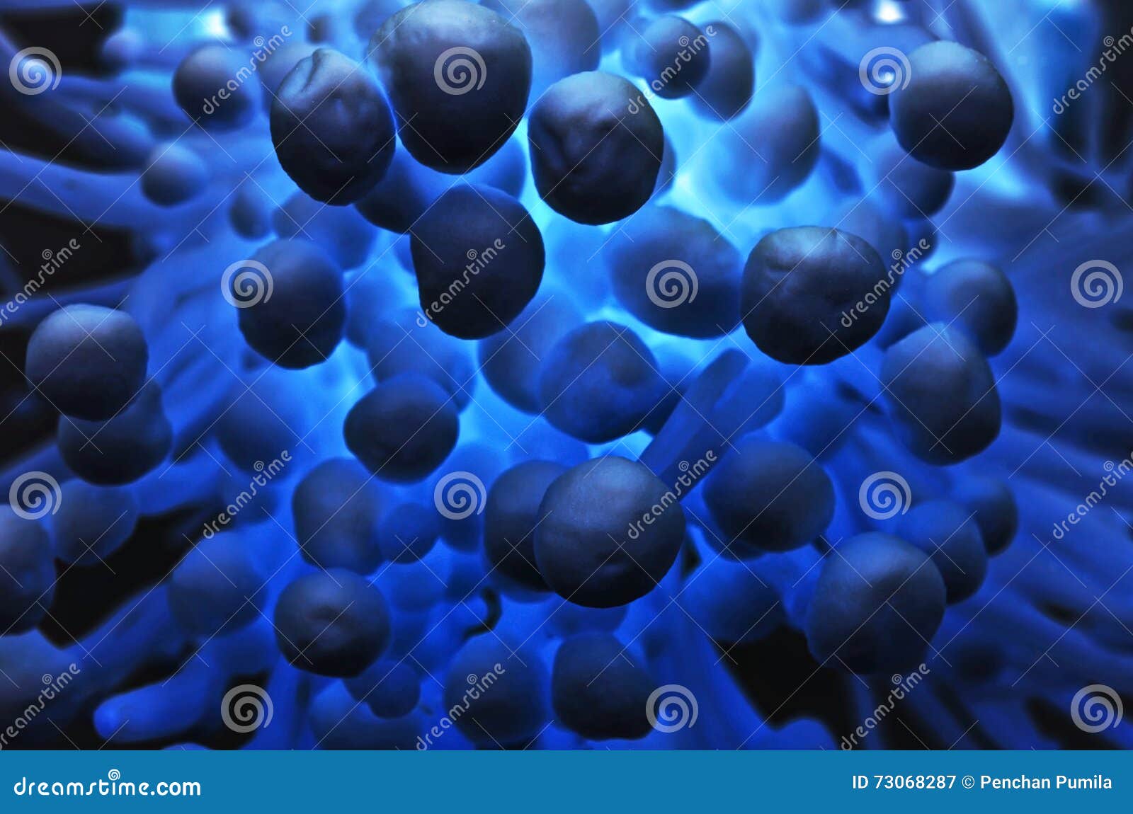 Blue and Dark Science Abstract Stock Image - Image of bladder, cell ...