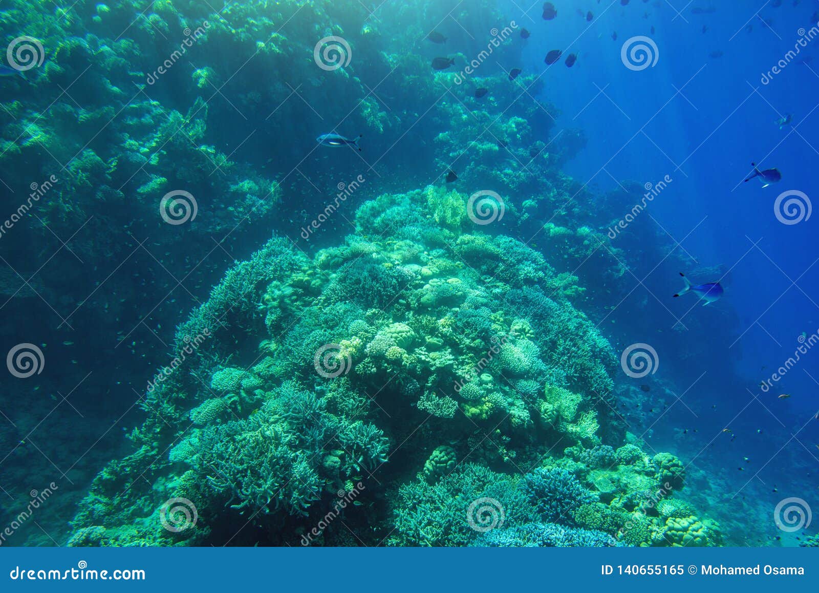 Blue Deep Seabed Underwater Background Stock Image - Image of rock ...