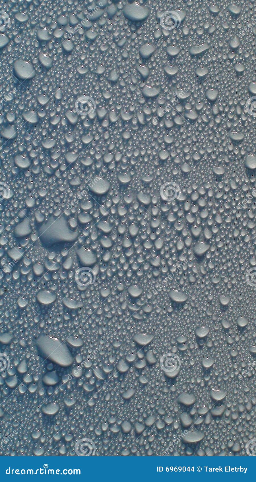 Blue Dew stock photo. Image of plastic, condensation, closeup - 6969044