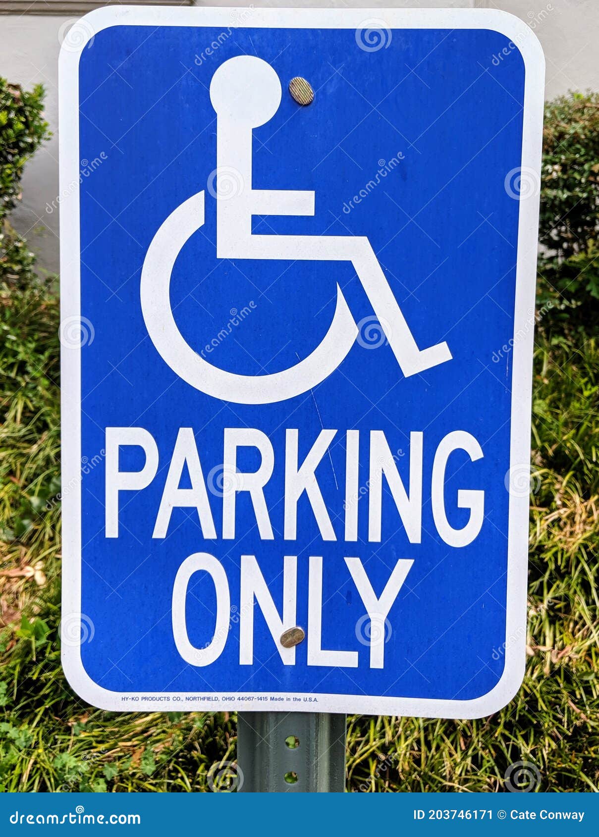 Blue Disabled Parking Sign Royalty-Free Stock Image | CartoonDealer.com ...