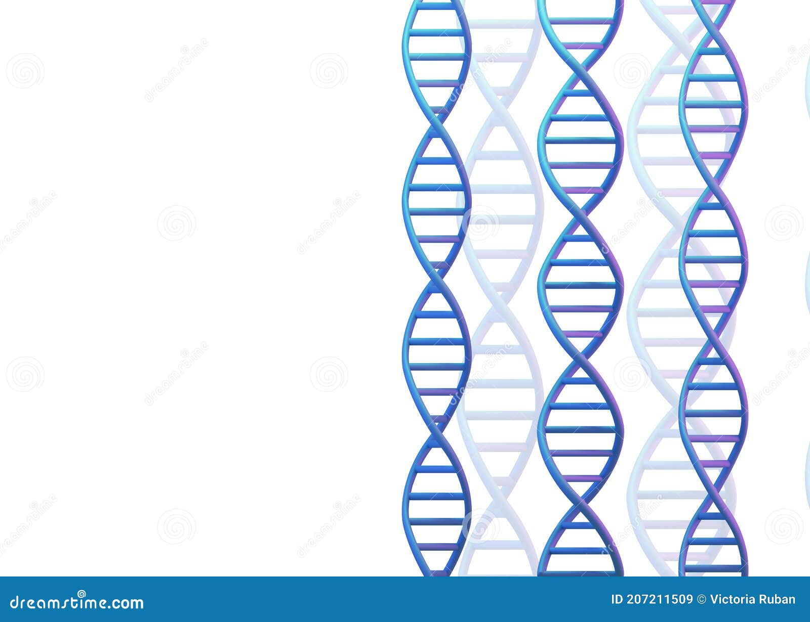 Blue DNA Molecules Structures Isolated on White Stock Illustration ...