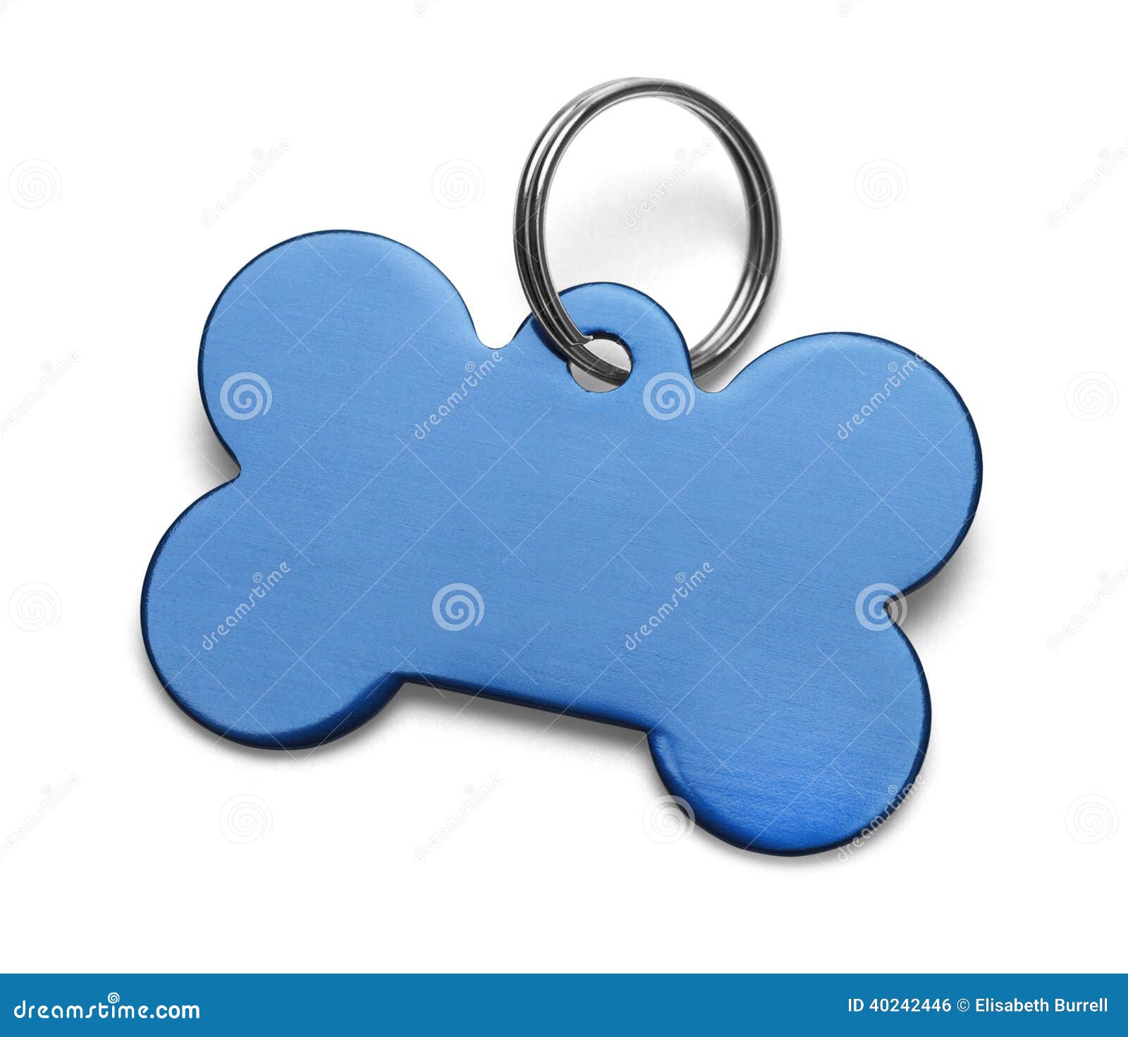 Blue Dog Tag stock photo. Image of copy, isolated, space - 40242446
