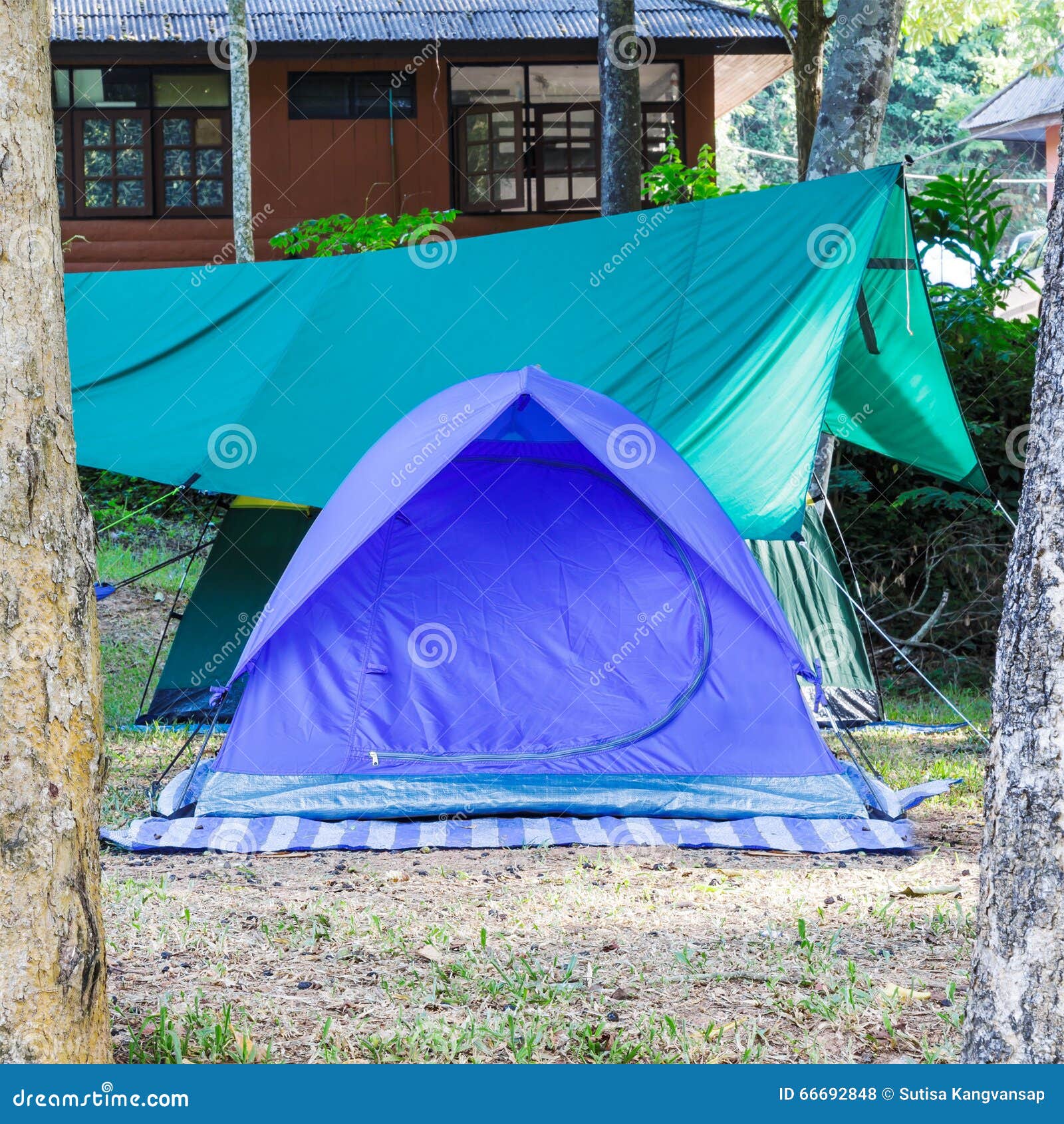 Blue Dome tent for camping stock photo. Image of holiday - 66692848