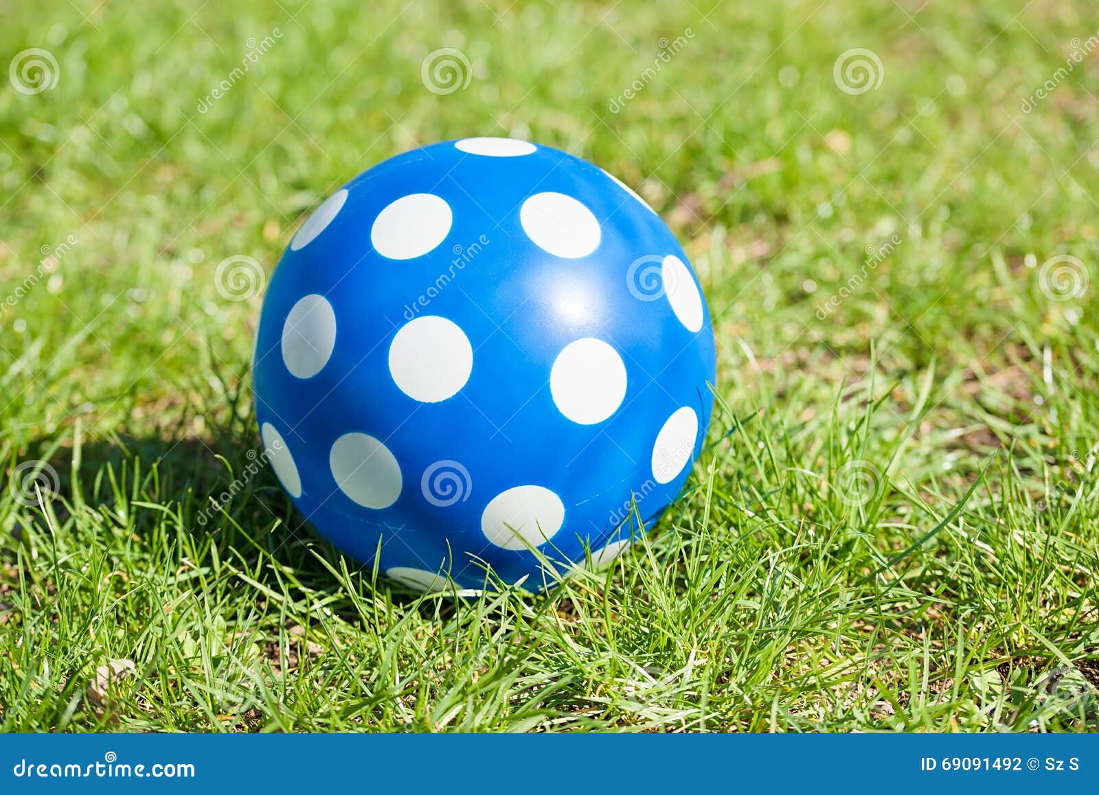Blue Dotted Ball on Green Grass Stock Photo - Image of park, fresh ...