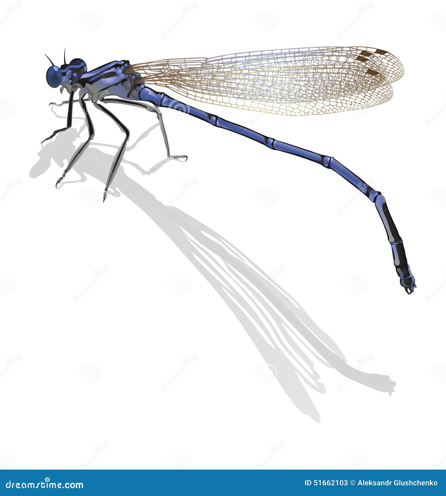 Blue Dragonfly with Folded Wings Isolated on White. Cast a Shadow Stock ...