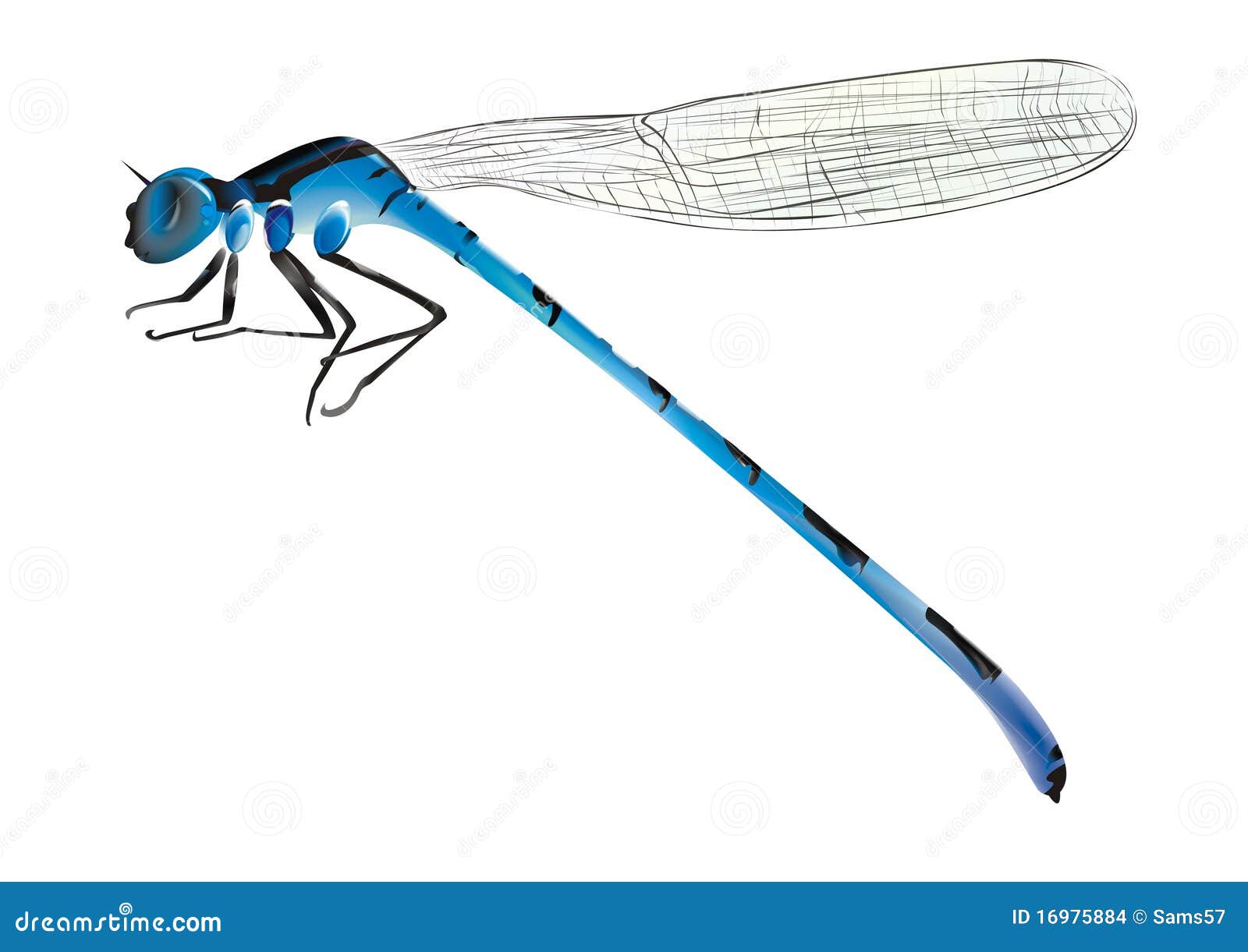 Blue Dragonfly With Folded Wings Isolated On White. Cast A Shadow ...