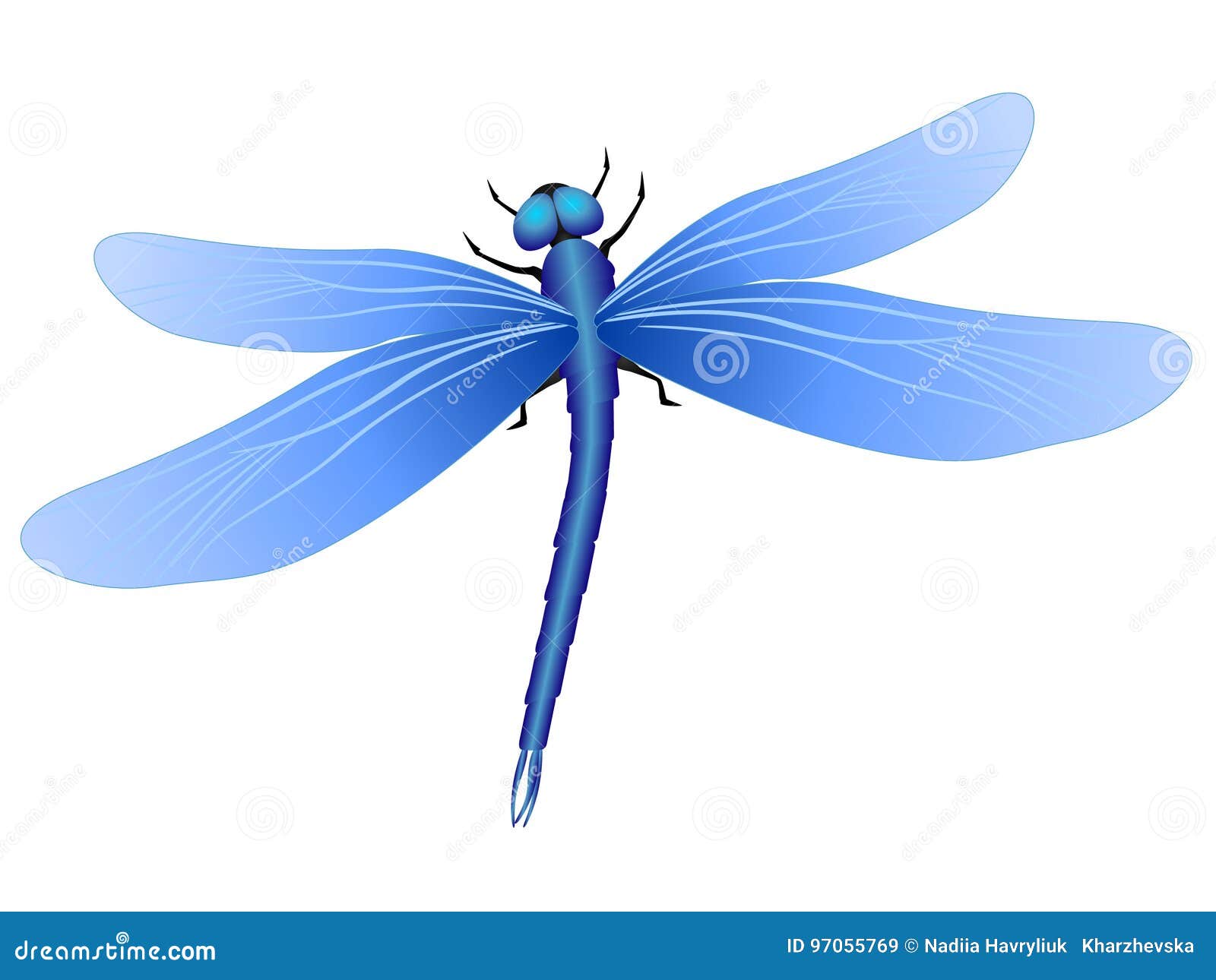 Blue Dragonfly With Folded Wings Isolated On White. Cast A Shadow ...