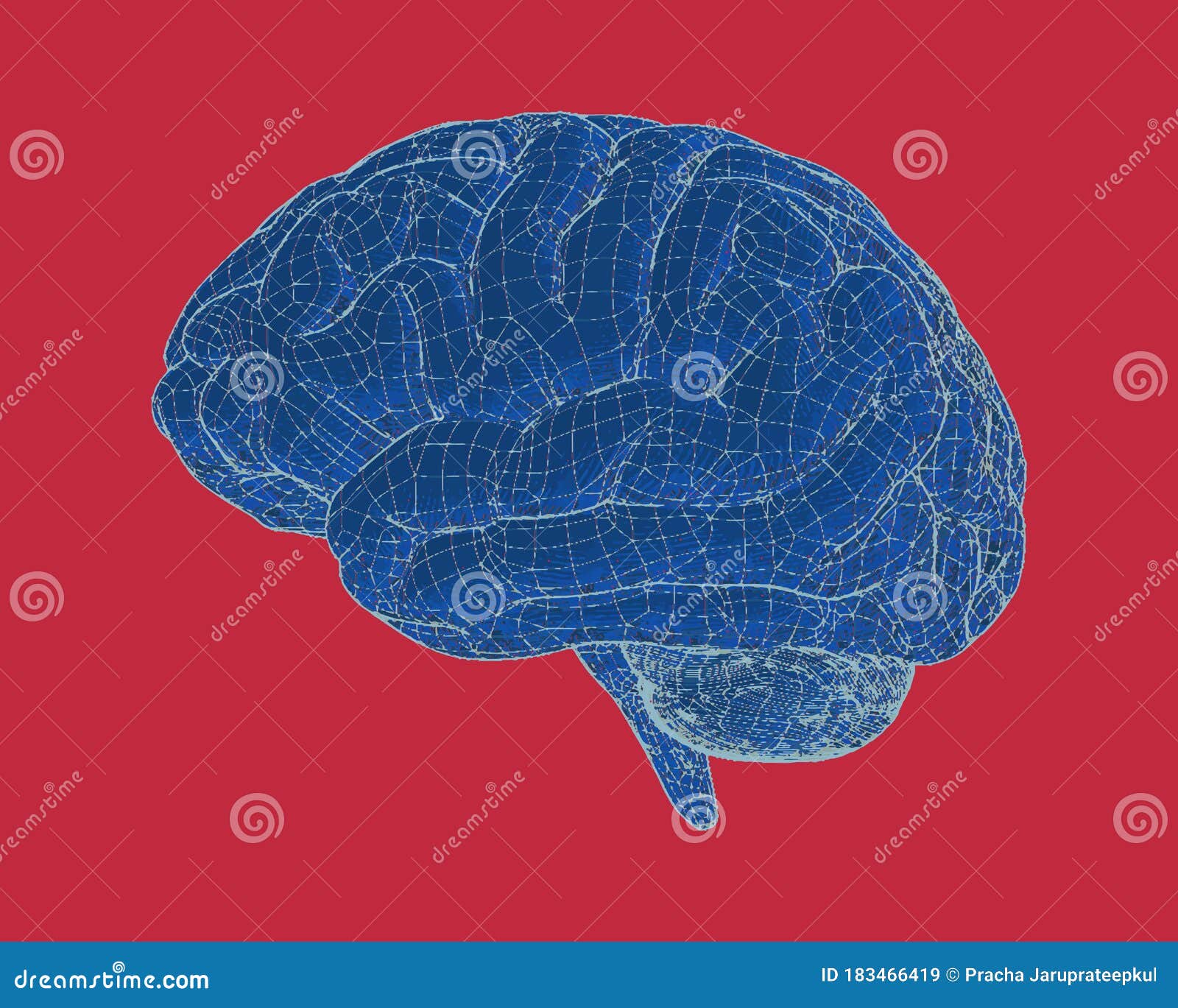 Blue Drawing Brain with Wireframe Illustration Stock Vector ...