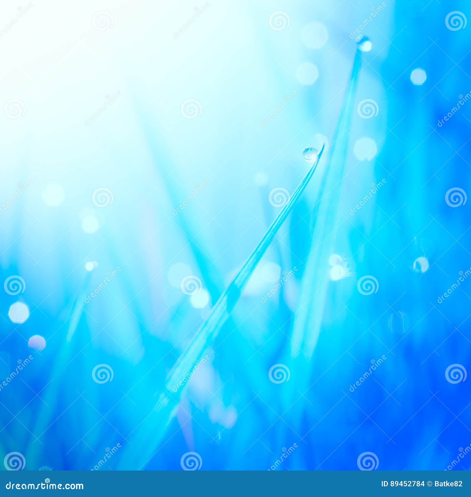Blue, Dreamy, Grass, Abstract Stock Photo - Image of lights, bright ...