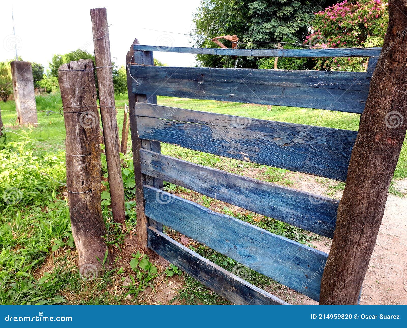 Blue Driveway, a Blue Painted Country Gate, Country Landscape Stock ...