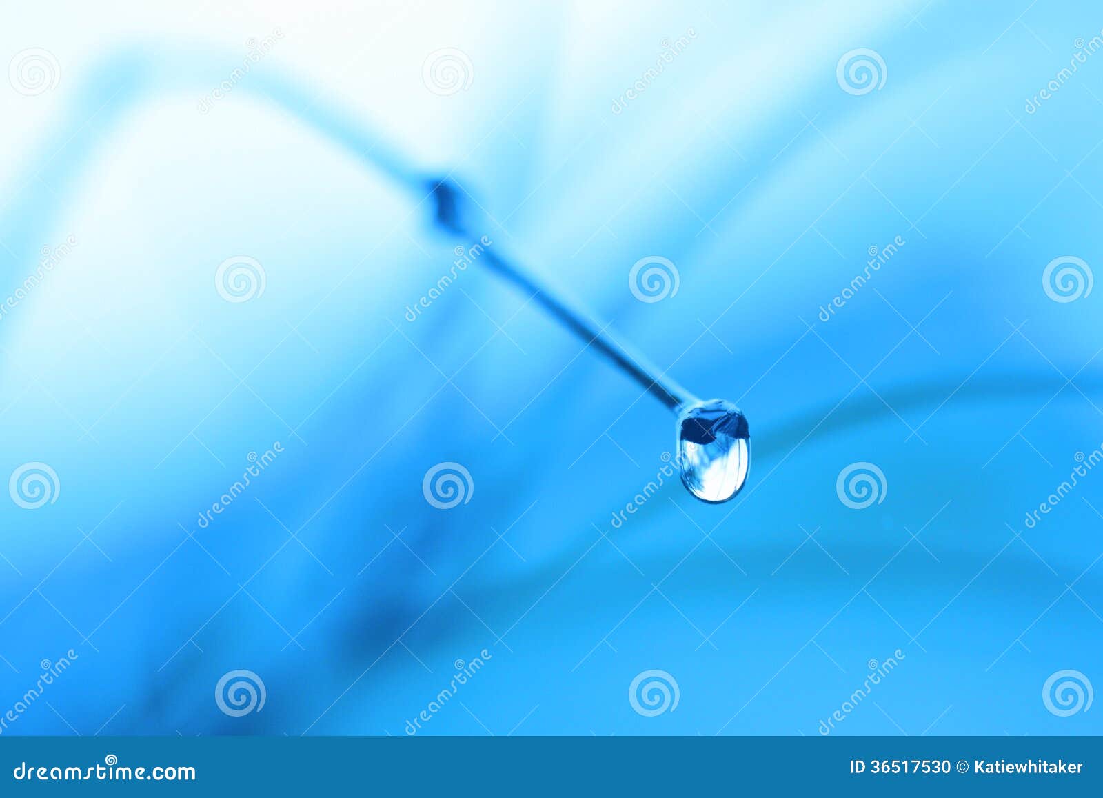 Blue Droplet stock photo. Image of water, background - 36517530