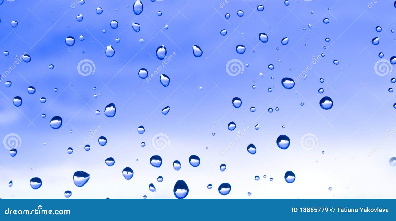 Blue drops stock image. Image of macro, surface, organic - 18885779