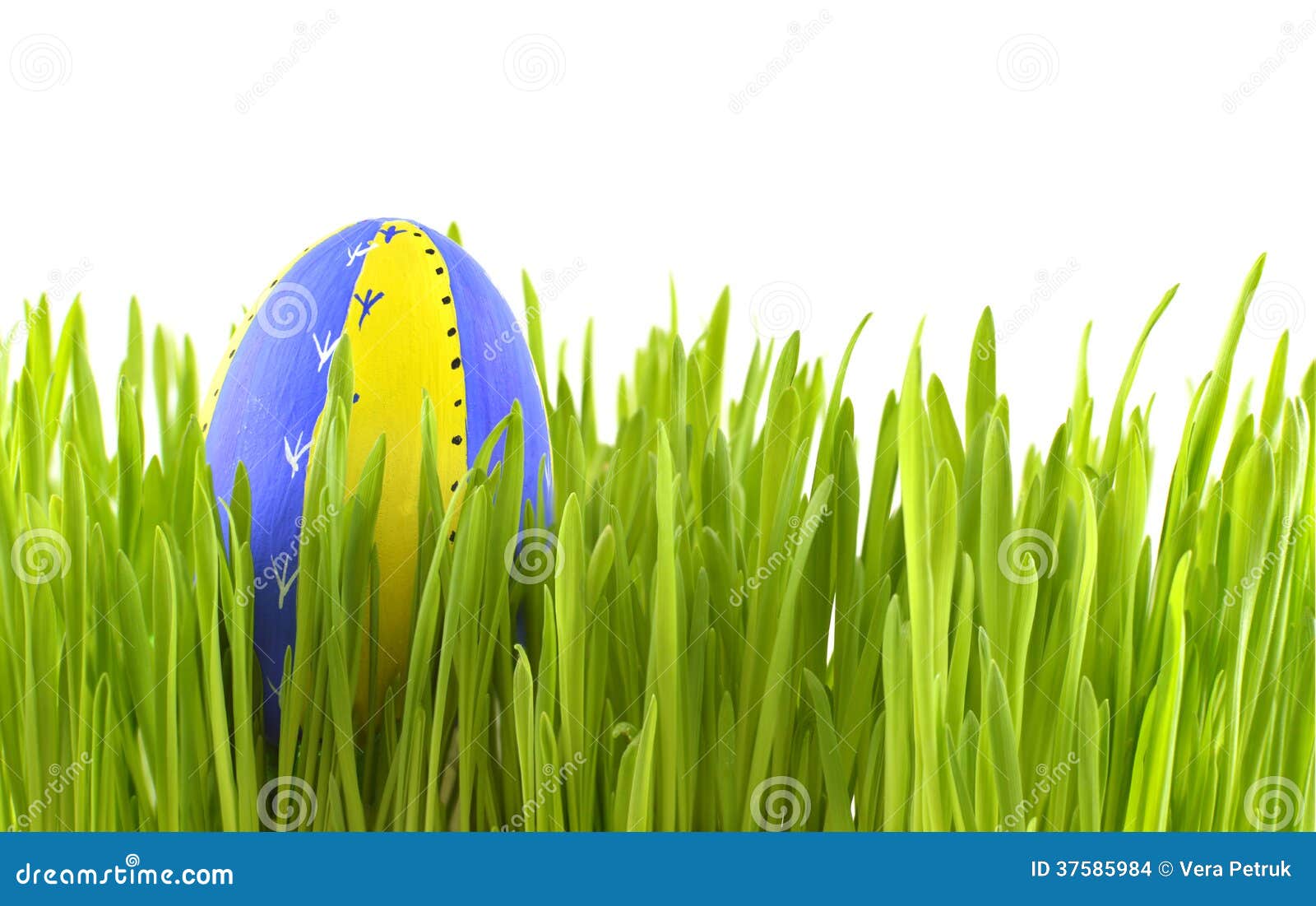 Blue Easter egg in grass stock photo. Image of march - 37585984