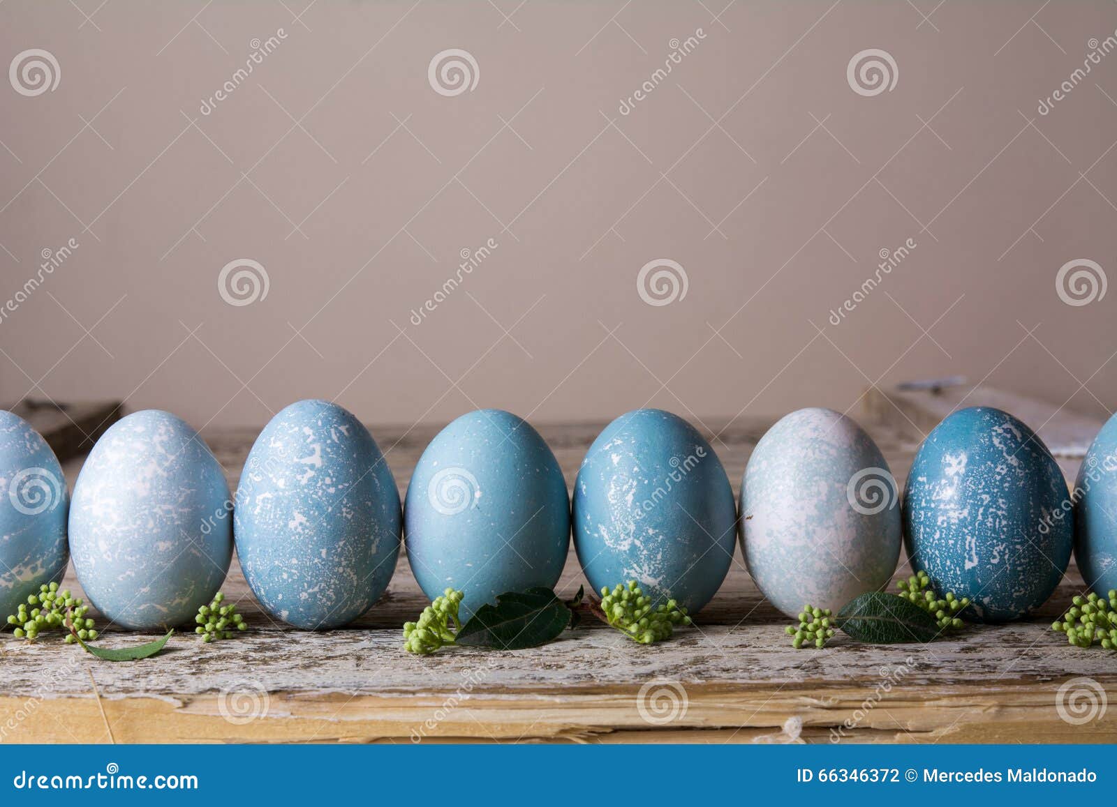 Blue Easter Eggs Standing in a Row. Front View Stock Photo - Image of ...