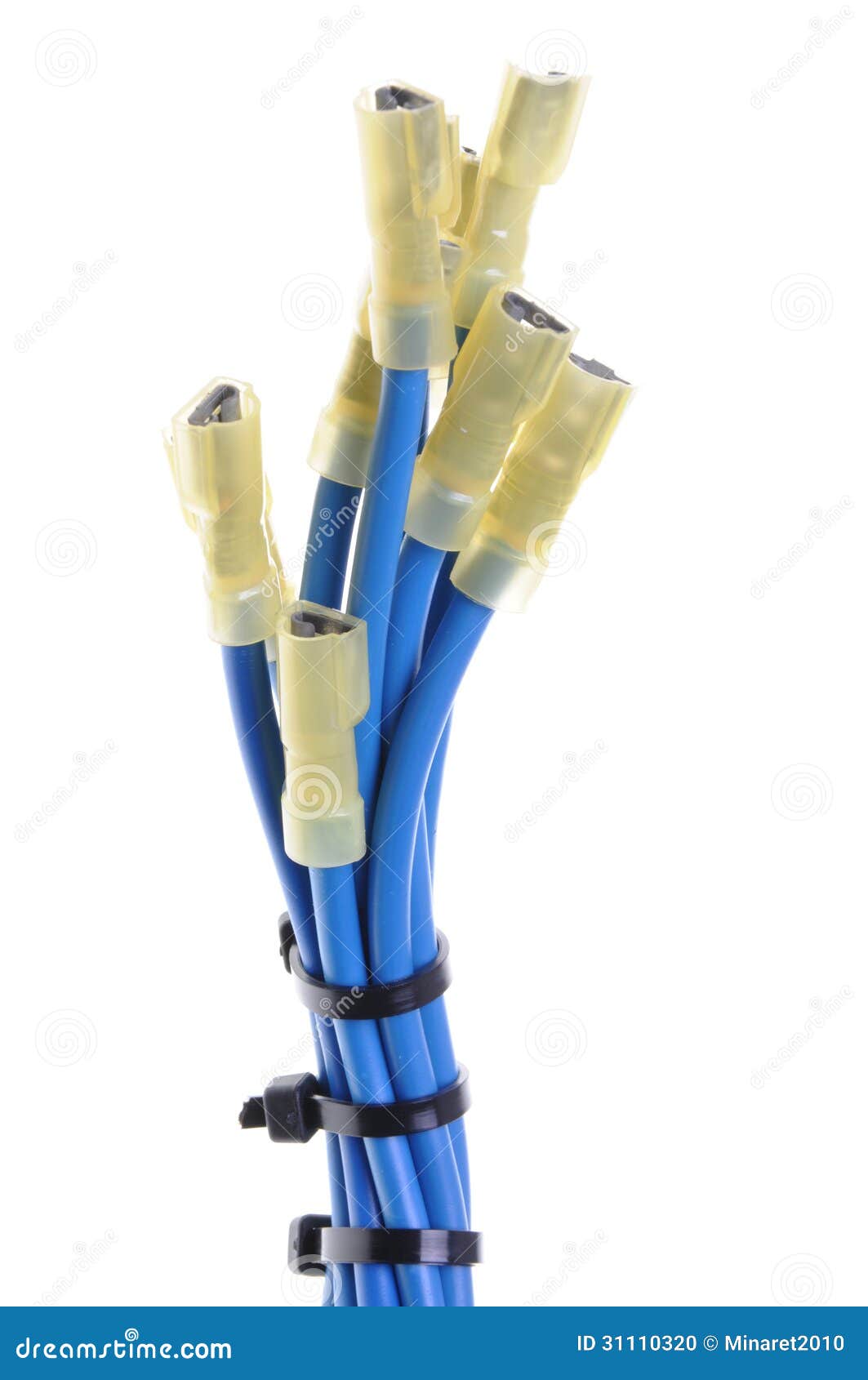 Blue Electric Wires with Terminals Stock Photo - Image of business ...