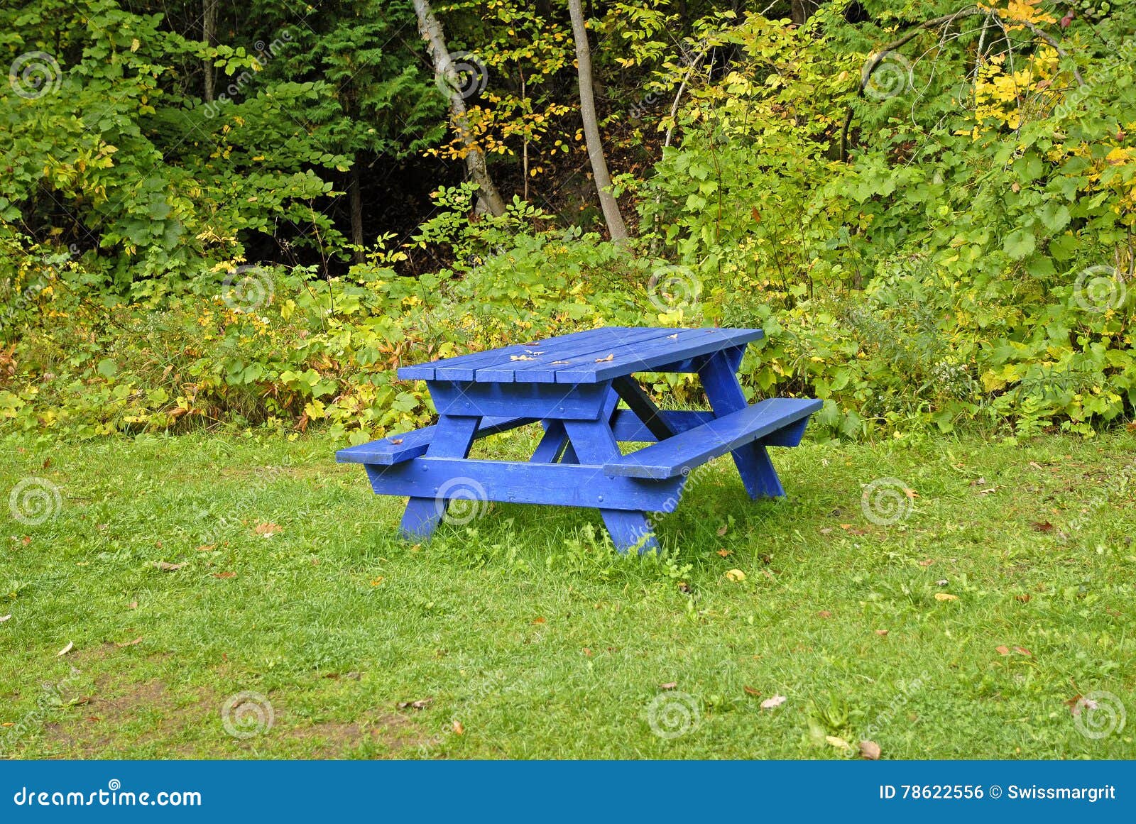 Blue empty Picinic Table stock photo. Image of table - 78622556