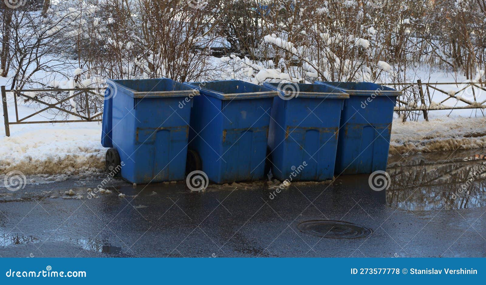 Blue Empty Plastic Mobile Garbage Containers Stand on the Asphalt Near ...