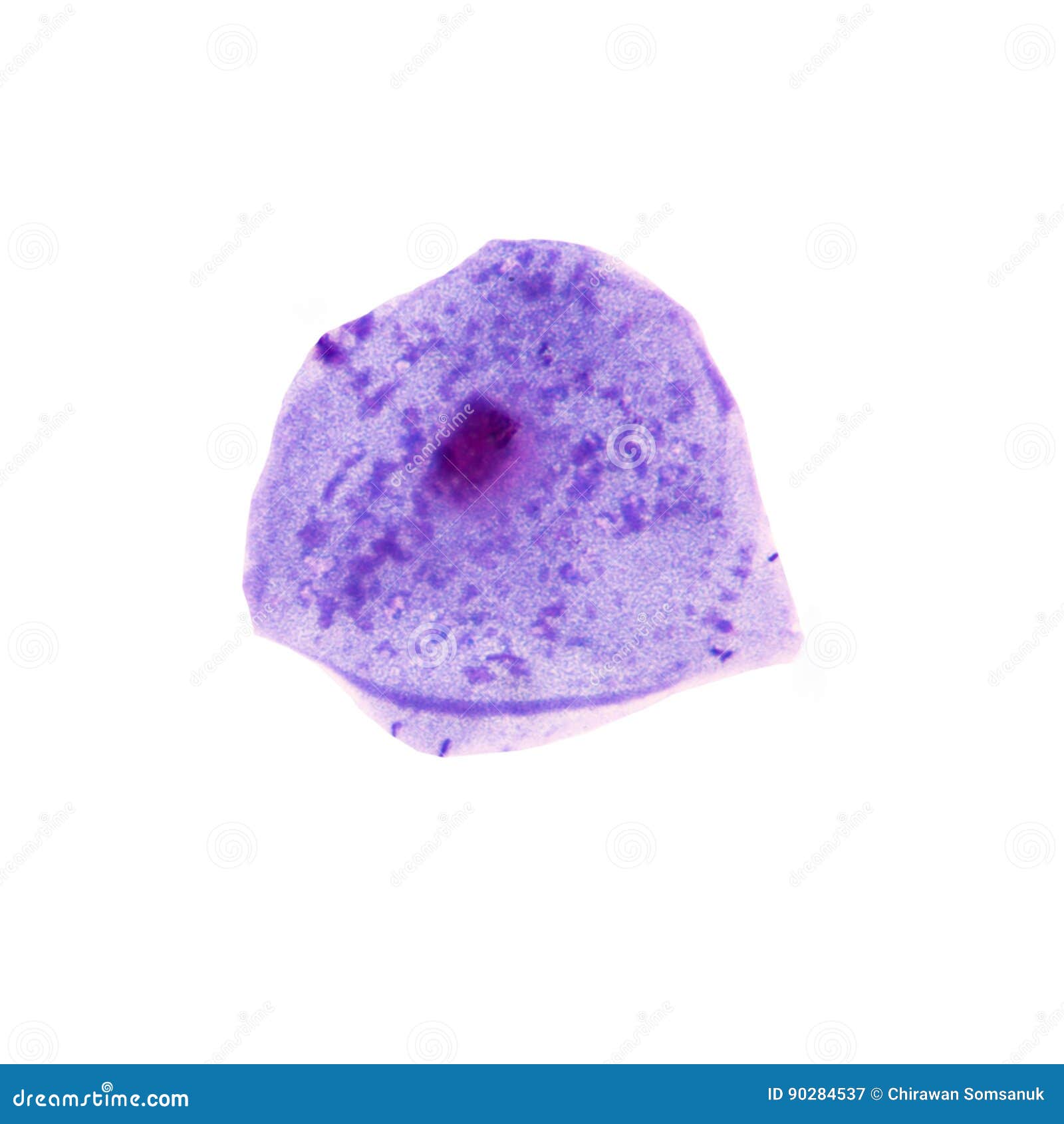 Blue epithelial cell stock image. Image of health, cancer - 90284537
