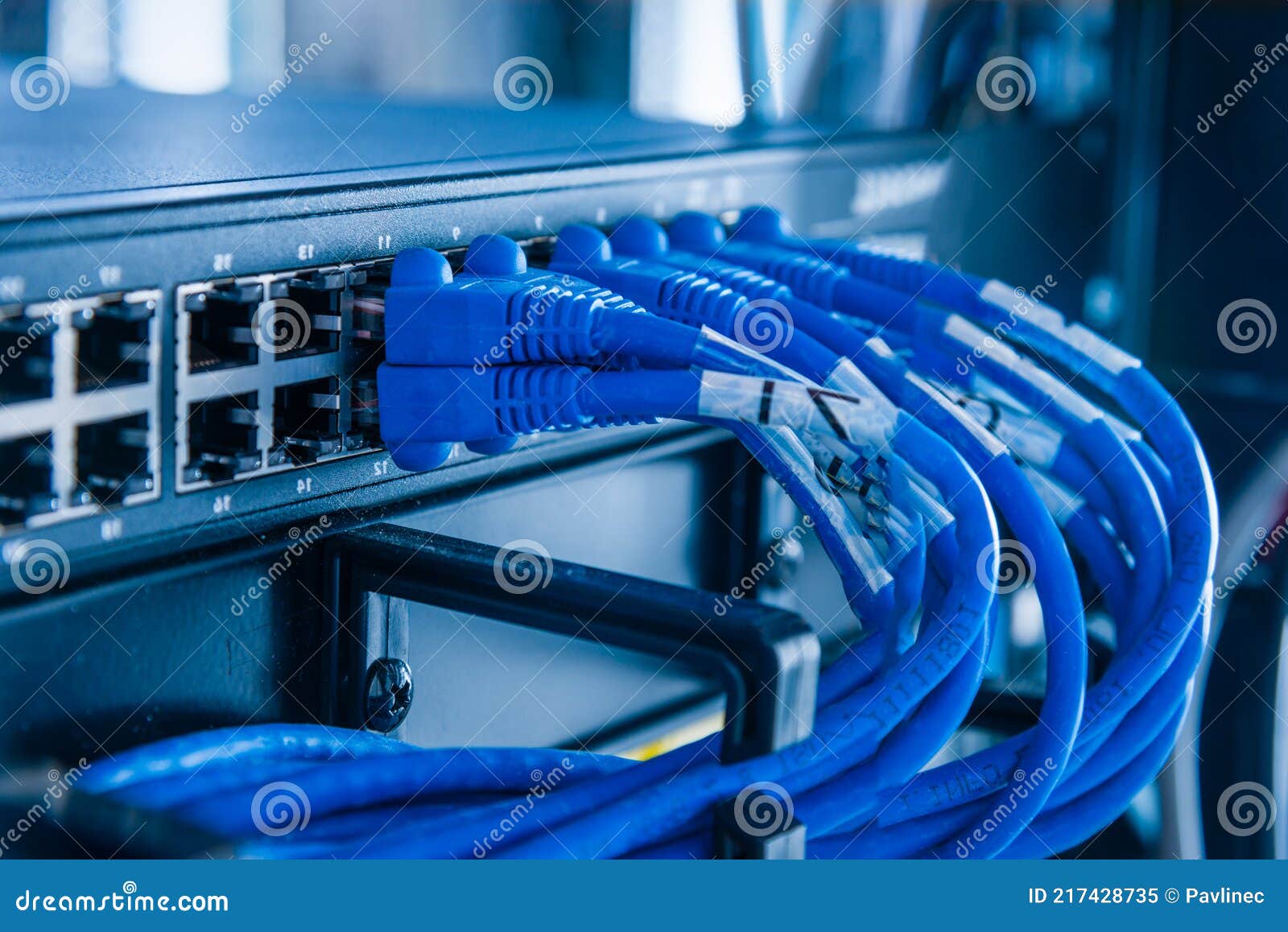 Blue Ethernet Cables Connected To Switch Stock Image - Image of line ...