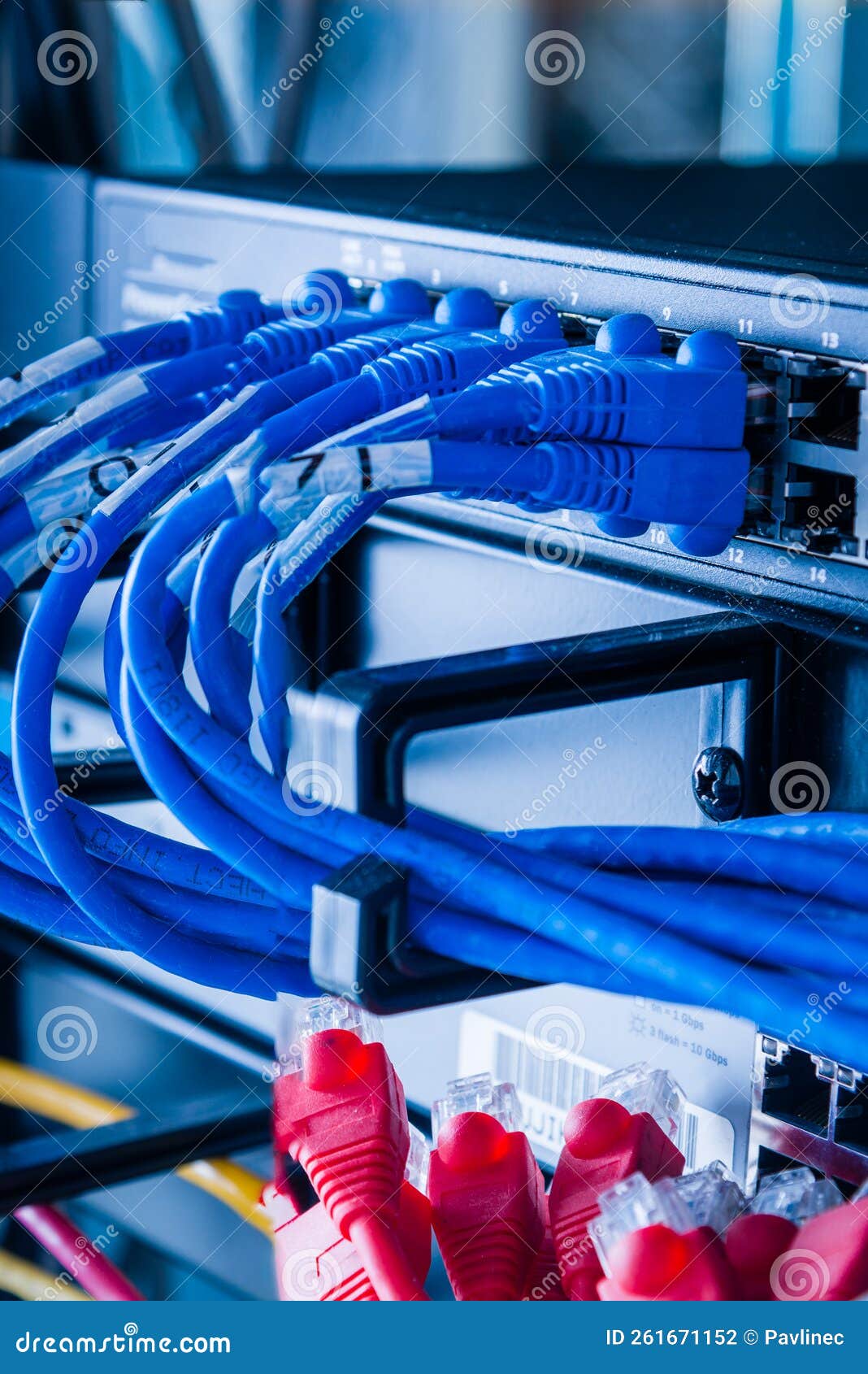 Blue Ethernet Cables Connected To Switch Stock Photo - Image of cord ...