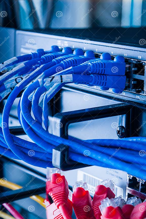 Blue Ethernet Cables Connected To Switch Stock Photo - Image of cord ...