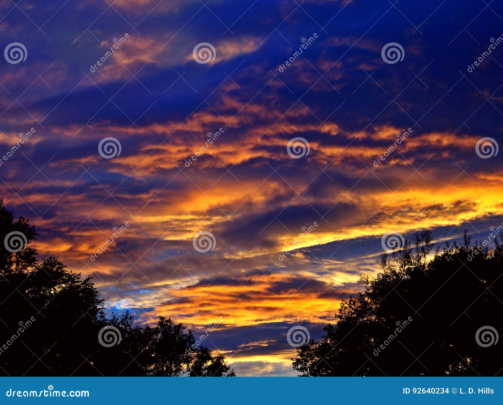 Blue Evening stock photo. Image of skies, blue, evening - 92640234