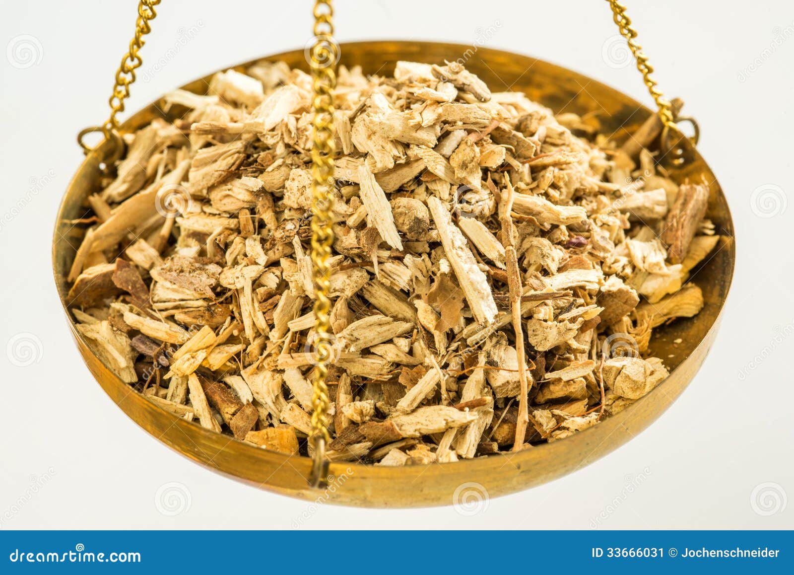 Blue Evergreen Hydrangea Root, Dichroa Febrifuga Stock Image - Image of ...