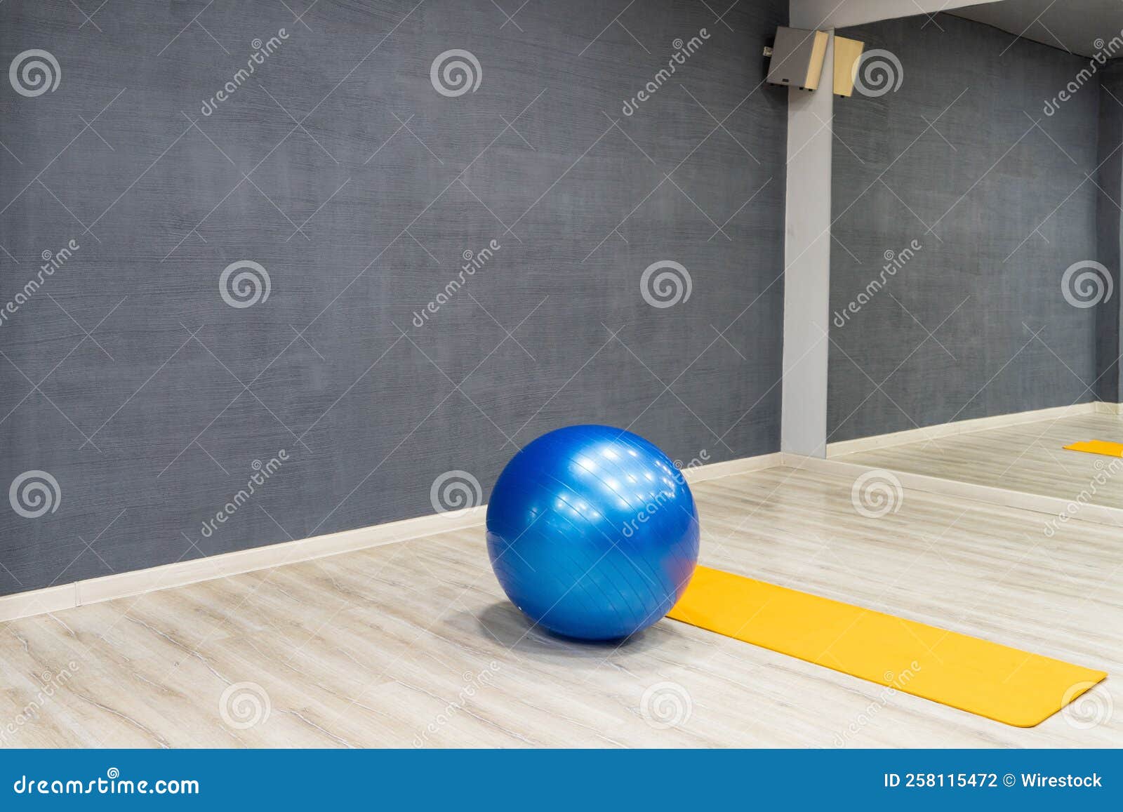 Blue Exercise Ball in the Sports Complex. Stock Photo - Image of ...