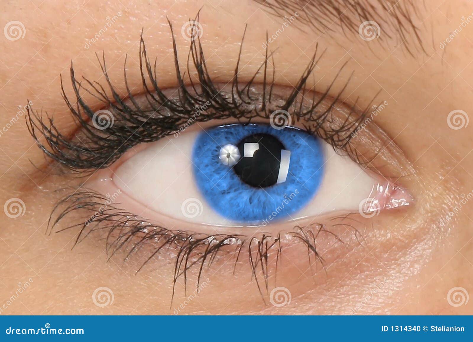 Blue eye stock photo. Image of elements, expectation, clean - 1314340