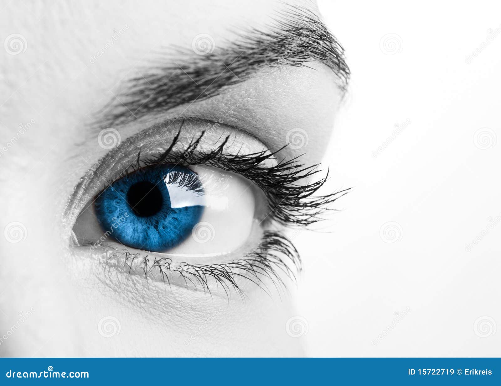 Blue eye stock image. Image of beautiful, blue, adult - 15722719