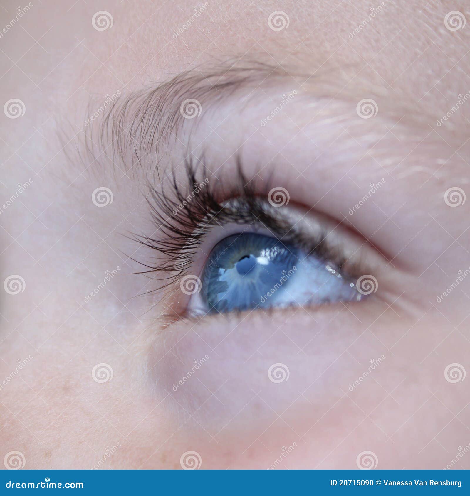 Blue eye stock photo. Image of beauty, natural, beautiful - 20715090