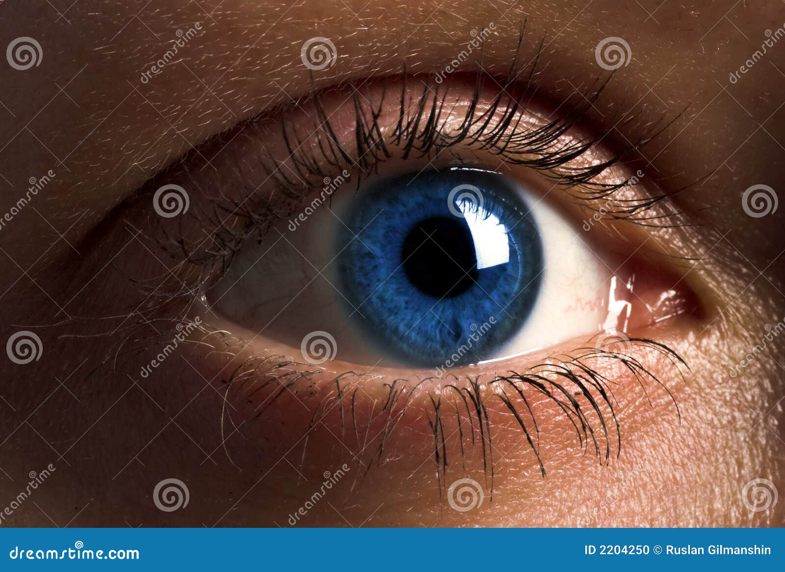 144 Blue Sclera Stock Photos - Free & Royalty-Free Stock Photos from ...