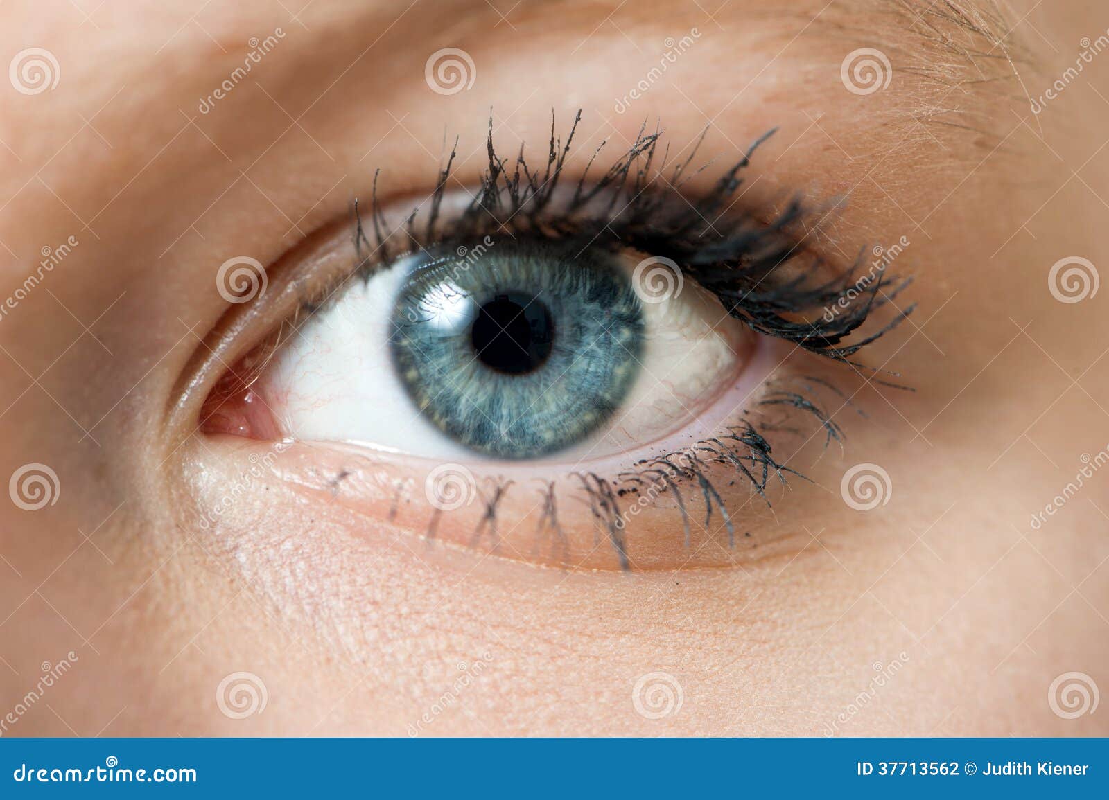 Blue Eye stock photo. Image of camera, optics, teens - 37713562
