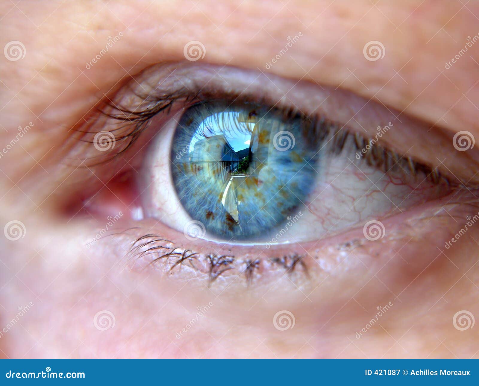 Blue eye stock image. Image of iris, girl, good, pupil - 421087