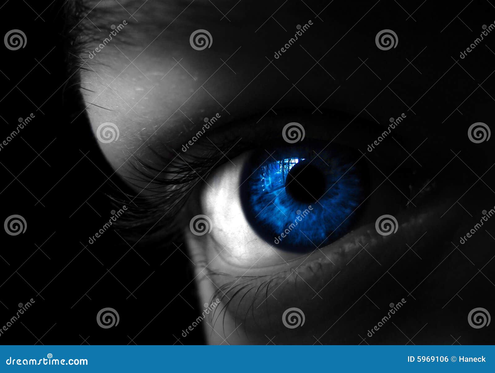 Blue Eye stock photo. Image of vision, eyelash, stare - 5969106