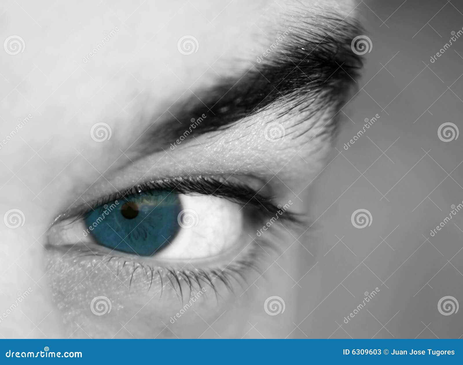 Blue eye stock image. Image of desaturated, eyesight, open - 6309603