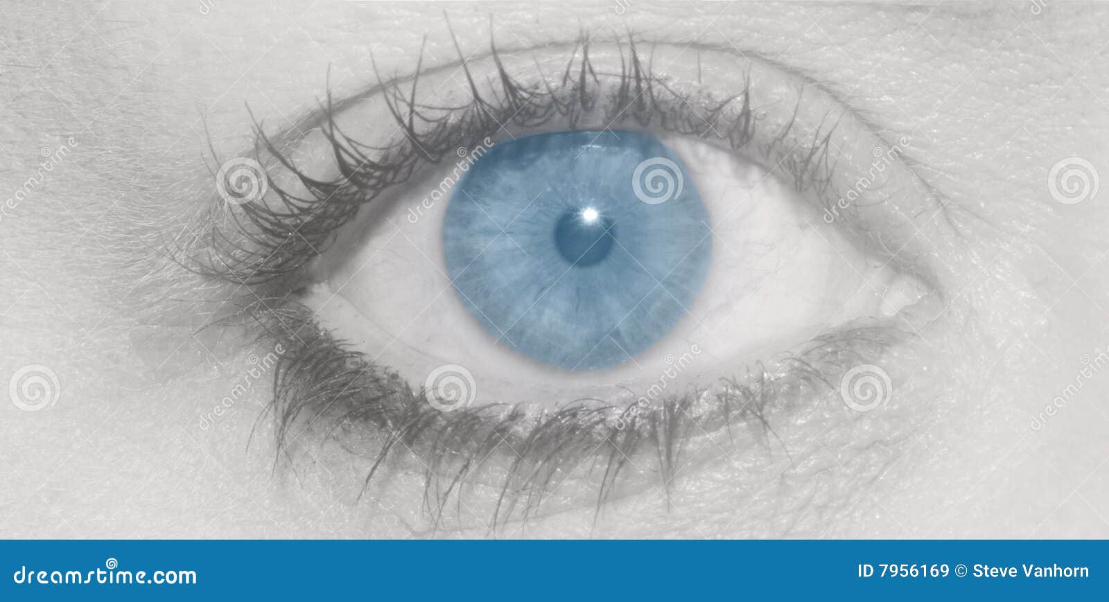 Blue Eye stock image. Image of watch, human, pupil, makeup - 7956169
