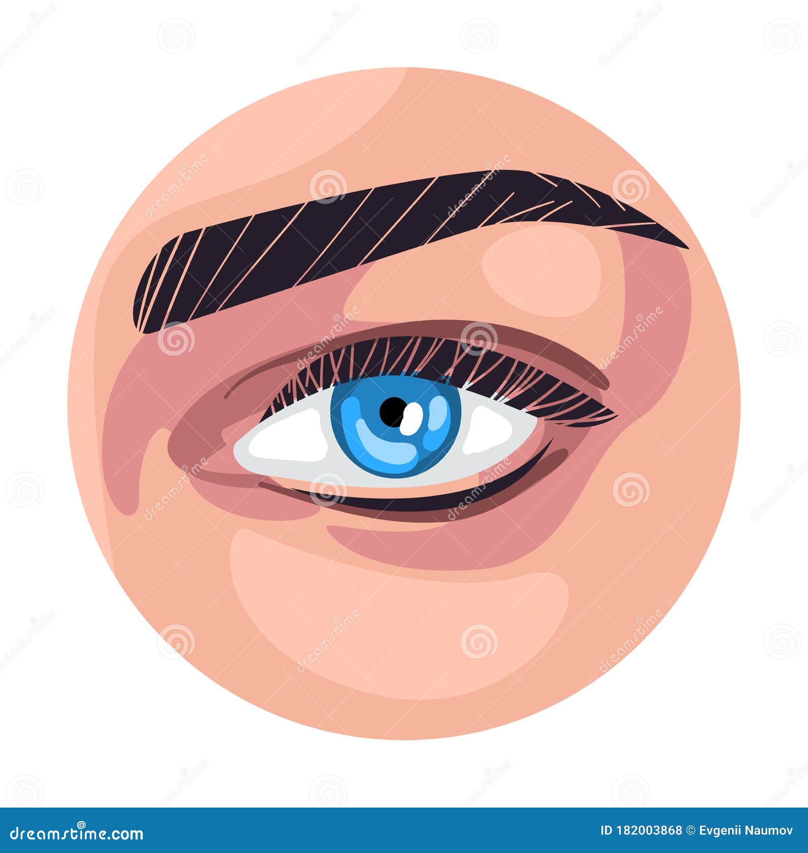 Blue Eye in the Circle, Part of Female Face Vector Illustration Stock ...