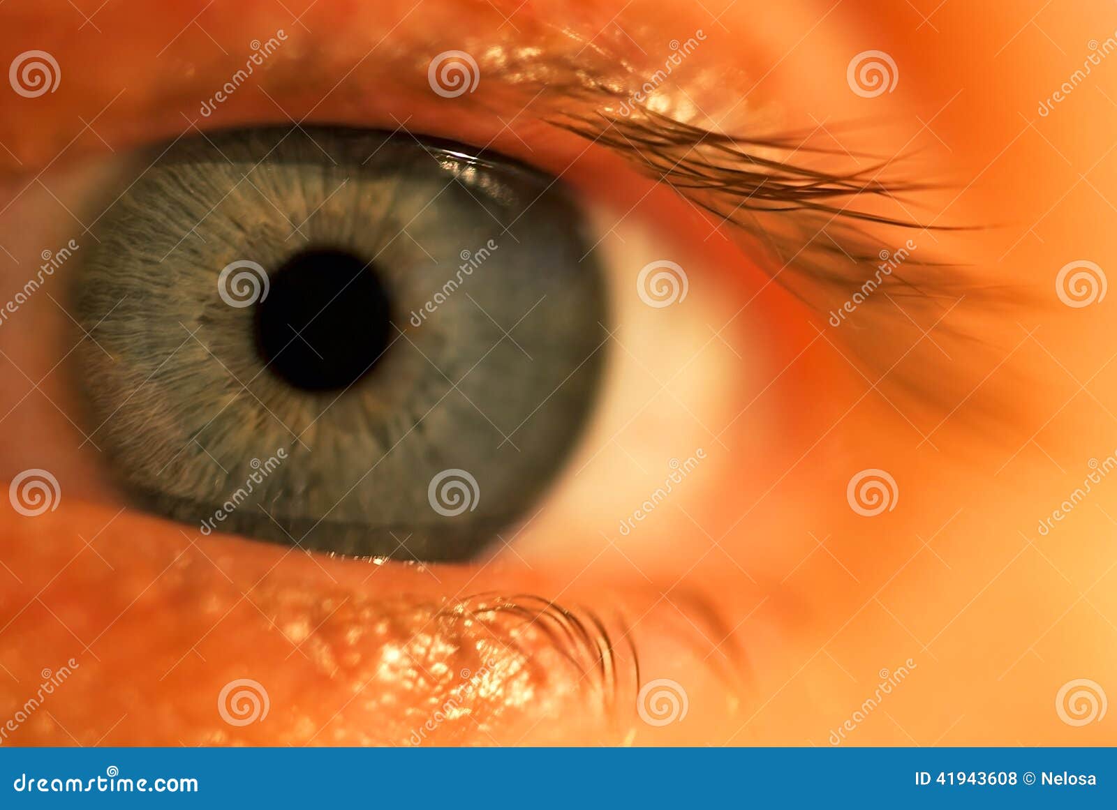 A Blue Eye stock photo. Image of blue, adult, natural - 41943608