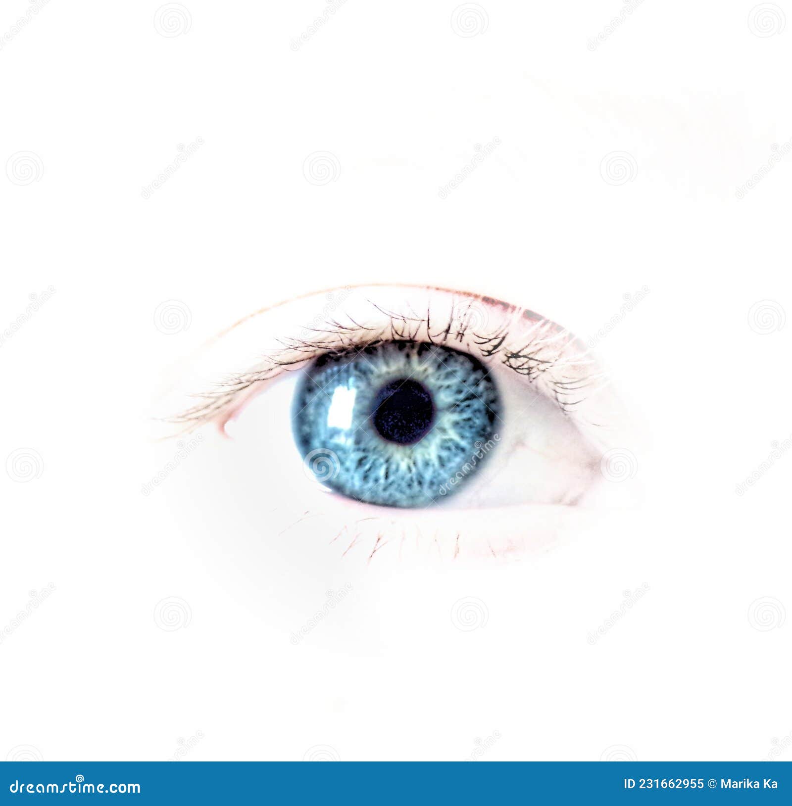 Blue Eye Deep Like an Ocean. Stock Image - Image of head, nose: 231662955