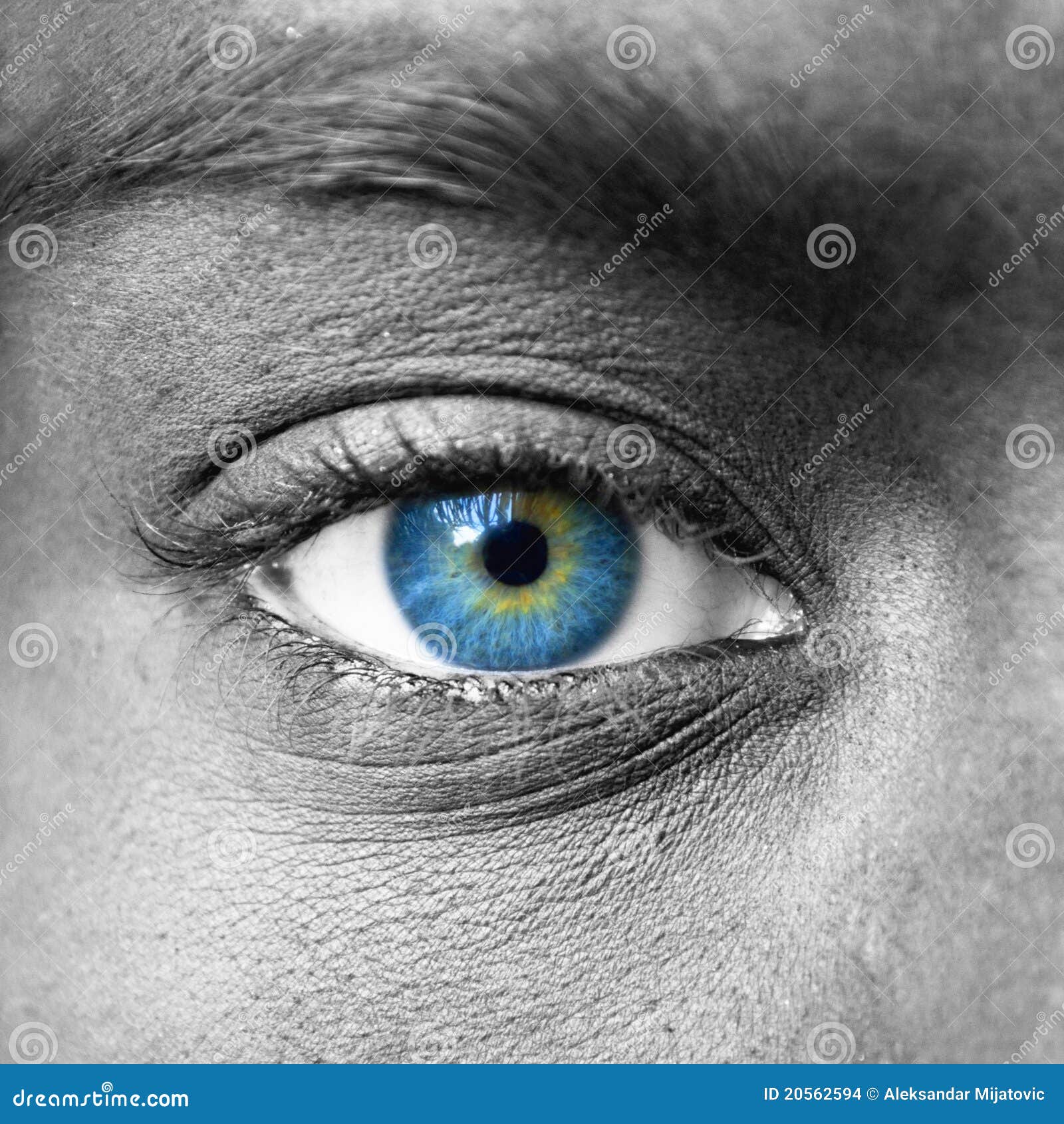 Blue eye extreme close up stock photo. Image of closeup - 20562594