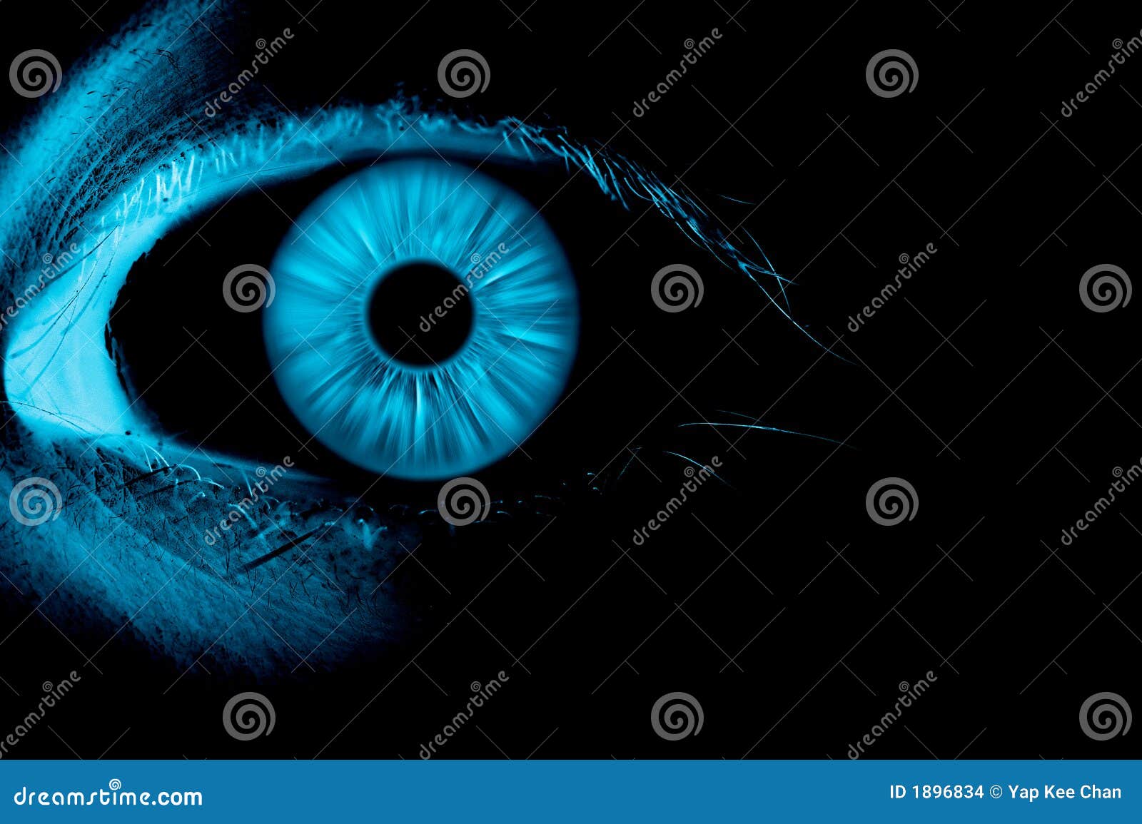 Focus Cartoons, Illustrations & Vector Stock Images - 975515 Pictures ...